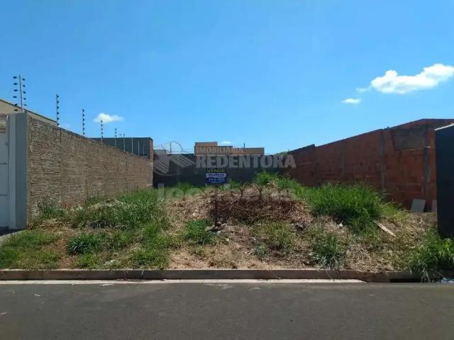Terreno / Lote para Venda em São José do Rio Preto/SP Residencial Floresta Park Zona Rural