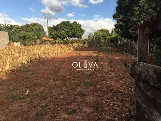 Terreno / Lote para Venda em São José do Rio Preto/SP Residencial São Thomaz