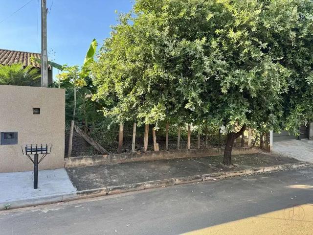 Terreno / Lote para Venda em São José do Rio Preto/SP Residencial Santa Ana
