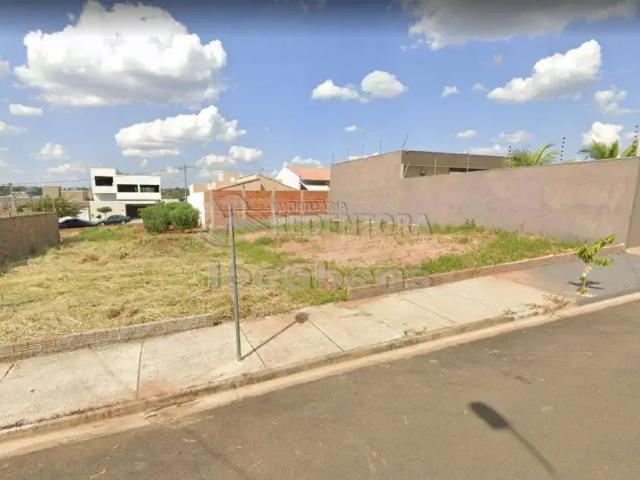 Terreno / Lote para Venda em São José do Rio Preto/SP Residencial Santa Regina