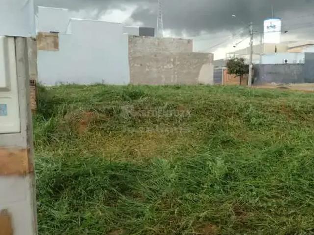 Terreno / Lote para Venda em São José do Rio Preto/SP Residencial Santa Regina