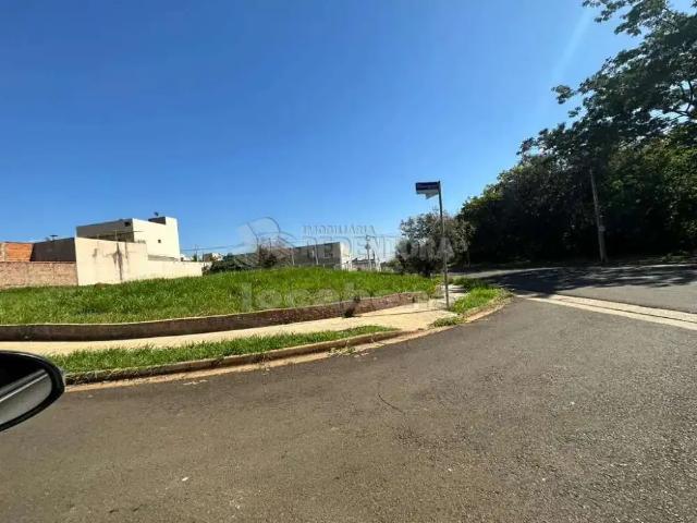 Terreno / Lote para Venda em São José do Rio Preto/SP Residencial Santa Regina