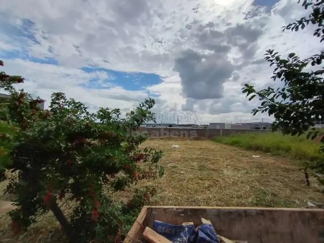 Terreno / Lote para Venda em São José do Rio Preto/SP Residencial Setsul II