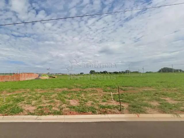 Terreno / Lote para Venda em São José do Rio Preto/SP Residencial Setsul II