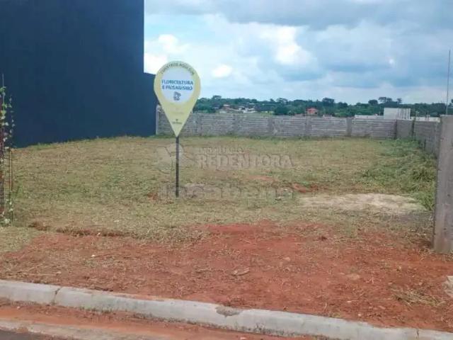 Terreno / Lote para Venda em São José do Rio Preto/SP Residencial Setsul II