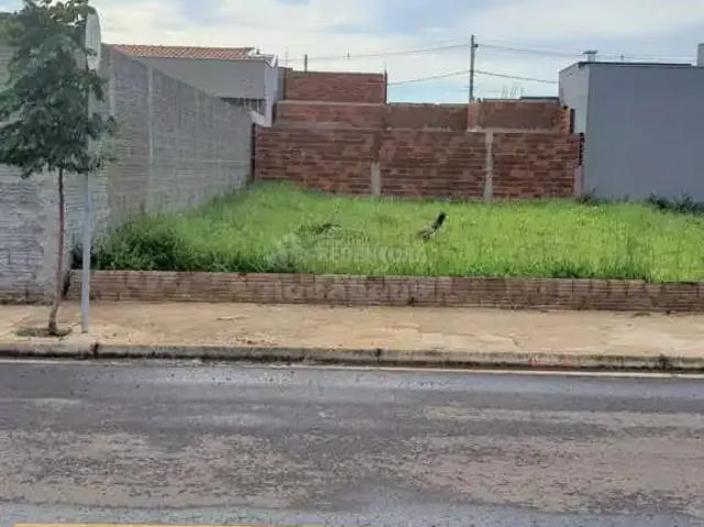 Terreno / Lote para Venda em São José do Rio Preto/SP Residencial Setsul II