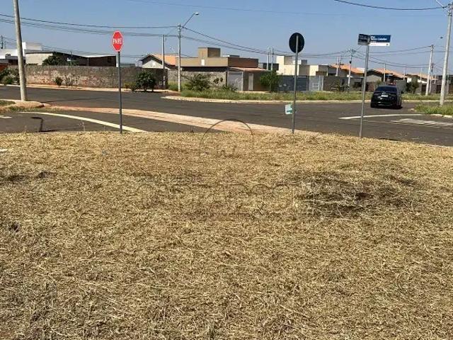 Terreno / Lote para Venda em São José do Rio Preto/SP Setvalley
