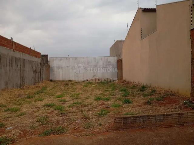 Terreno / Lote para Venda em São José do Rio Preto/SP Setvalley