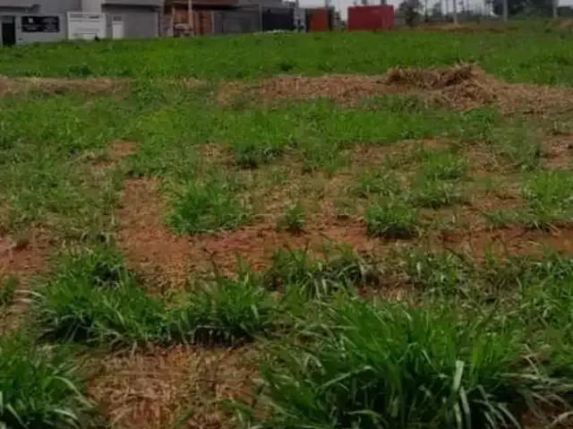 Terreno / Lote para Venda em São José do Rio Preto/SP Setvalley II