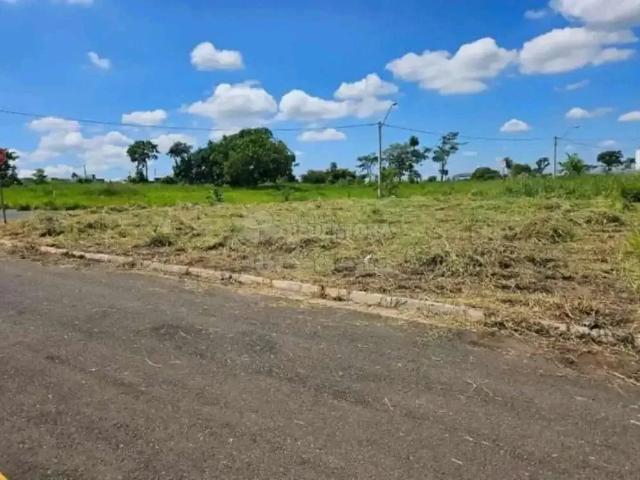 Terreno / Lote para Venda em São José do Rio Preto/SP Setvalley II