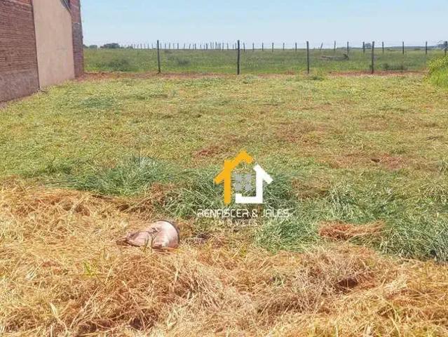 Terreno / Lote para Venda em São José do Rio Preto/SP Setvalley III