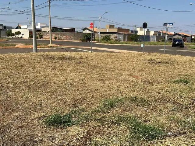 Terreno / Lote para Venda em São José do Rio Preto/SP Setvalley III
