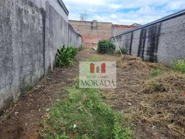 Terreno / Lote para Venda em São José dos Campos/SP Conjunto Residencial Galo Branco