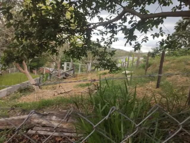 Terreno / Lote para Venda em São José dos Campos/SP Costinha