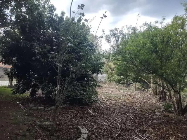 Terreno / Lote para Venda em São José dos Campos/SP Costinha