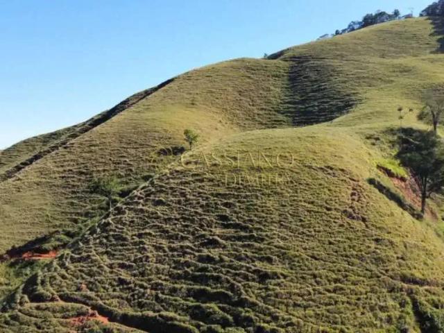 Terreno / Lote para Venda em São José dos Campos/SP Centro São Francisco Xavier