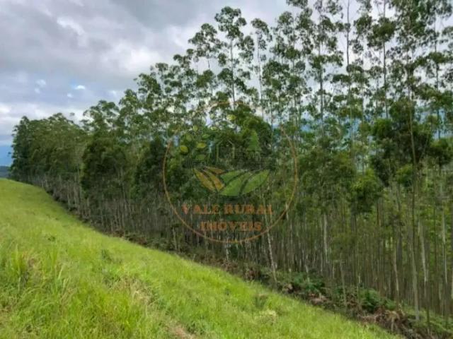 Terreno / Lote para Venda em São José dos Campos/SP Altos da Vila Paiva