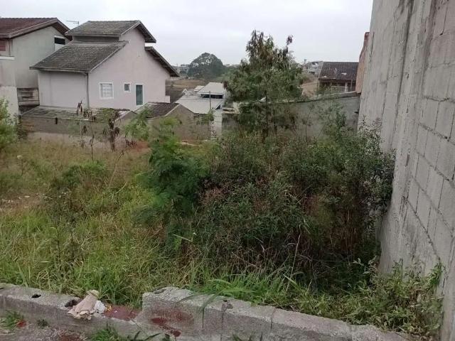 Terreno / Lote para Venda em São José dos Campos/SP Jardim Minas Gerais