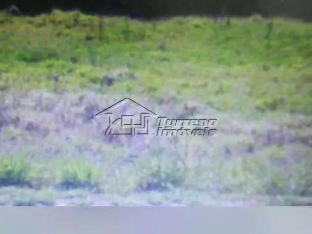 Terreno / Lote para Venda em São José dos Campos/SP Jardim Americano