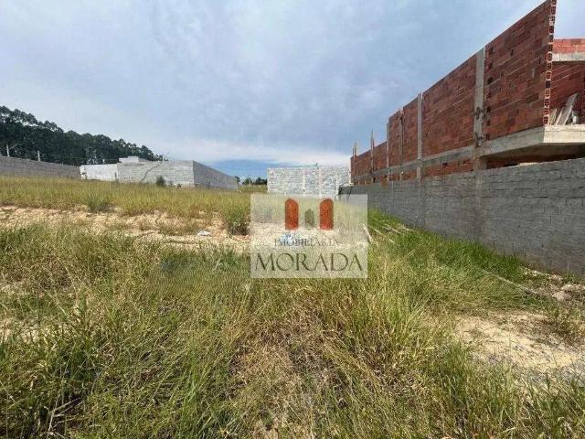 Terreno / Lote para Venda em São José dos Campos/SP Jardim Cruzeiro do Sul