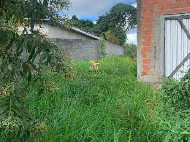 Terreno / Lote para Venda em São José dos Campos/SP Jardim Santa Hermínia