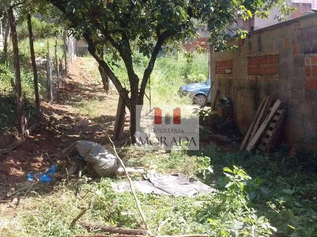 Terreno / Lote para Venda em São José dos Campos/SP Jardim Santa Hermínia