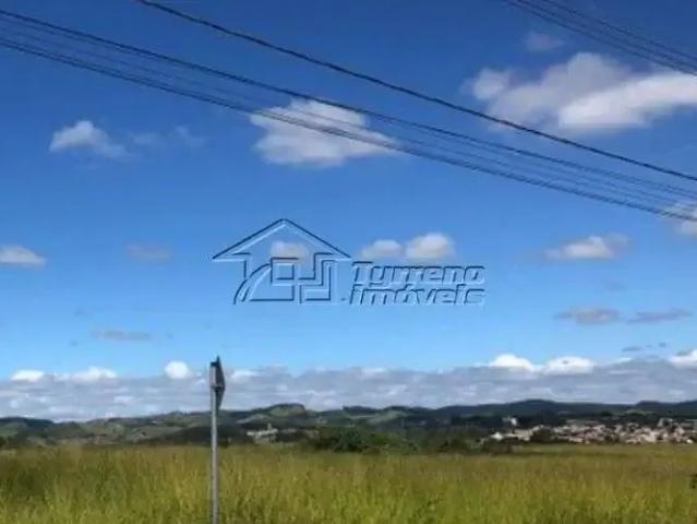 Terreno / Lote para Venda em São José dos Campos/SP Loteamento Floresta