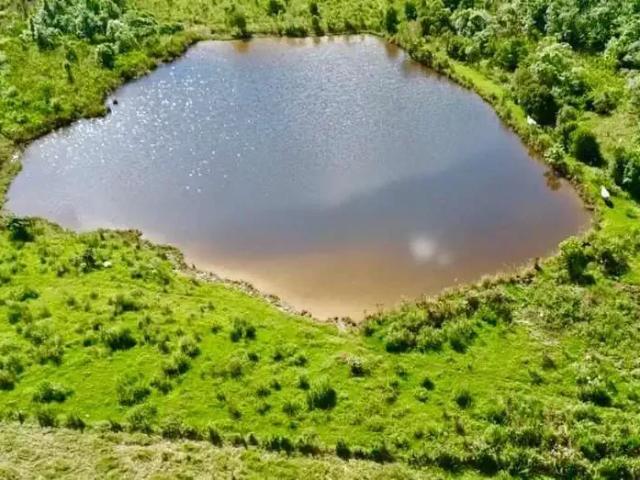 Terreno / Lote para Venda em São José dos Campos/SP São Francisco Xavier