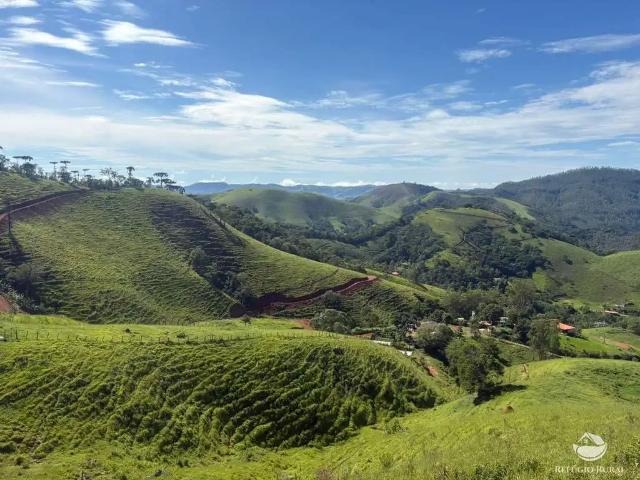 Terreno / Lote para Venda em São José dos Campos/SP São Francisco Xavier