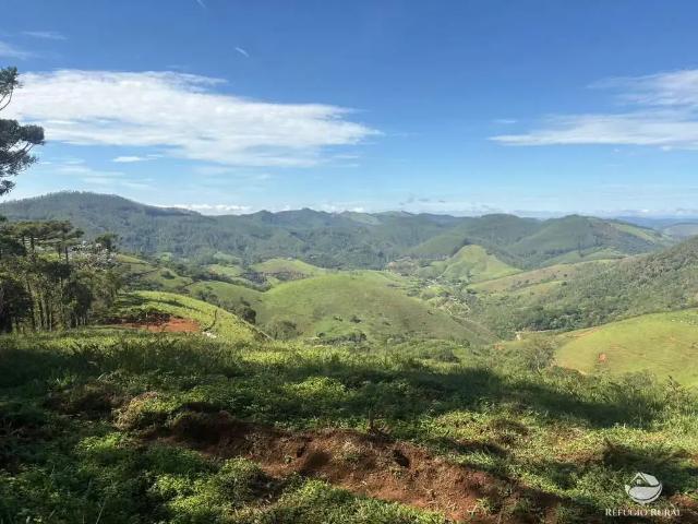 Terreno / Lote para Venda em São José dos Campos/SP São Francisco Xavier