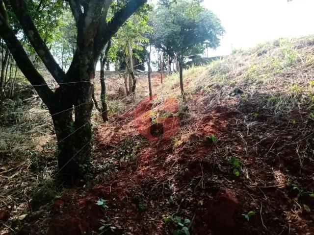 Terreno / Lote para Venda em São José dos Campos/SP Santa Cecilia II
