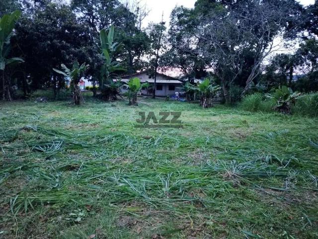 Terreno / Lote para Venda em São José dos Campos/SP Putim