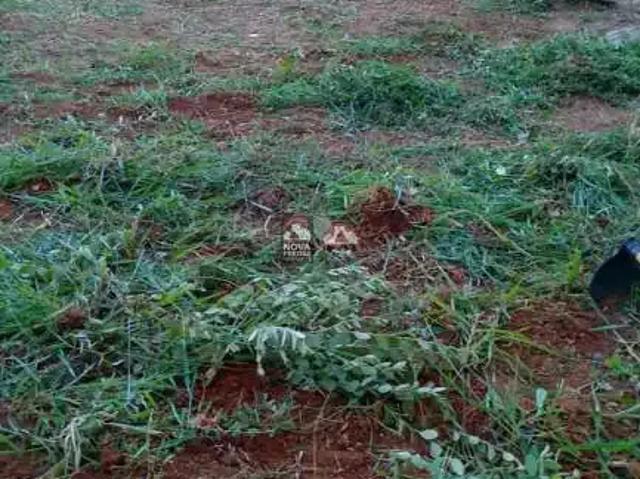 Terreno / Lote para Venda em São José dos Campos/SP Residencial Dunamis