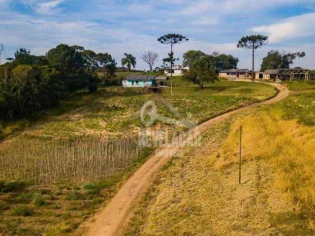 Terreno / Lote para Venda em São José dos Pinhais/PR Miringuava