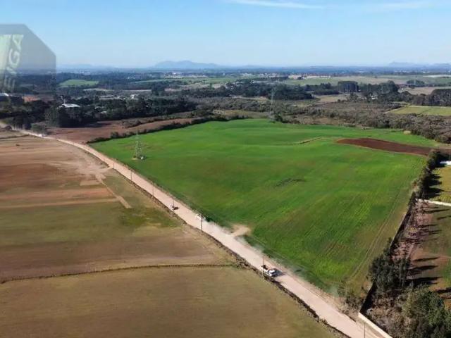 Terreno / Lote para Venda em São José dos Pinhais/PR Miringuava