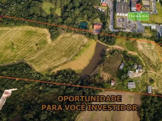 Terreno / Lote para Venda em São José dos Pinhais/PR Ouro Fino