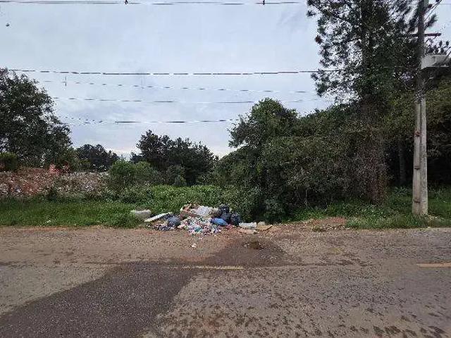 Terreno / Lote para Venda em São José dos Pinhais/PR Academia