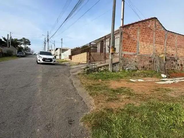 Terreno / Lote para Venda em São José dos Pinhais/PR Academia