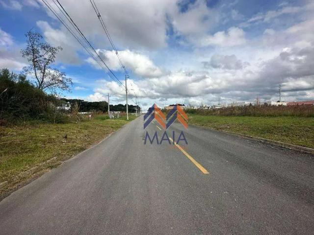 Terreno / Lote para Venda em São José dos Pinhais/PR Afonso Pena
