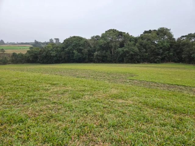 Terreno / Lote para Venda em São José dos Pinhais/PR Agaraú