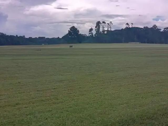Terreno / Lote para Venda em São José dos Pinhais/PR Agaraú