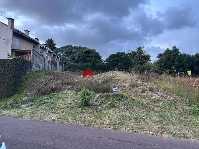 Terreno / Lote para Venda em São José dos Pinhais/PR Aristocrata