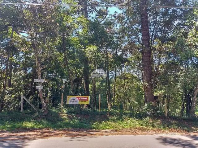 Terreno / Lote para Venda em São José dos Pinhais/PR Aristocrata