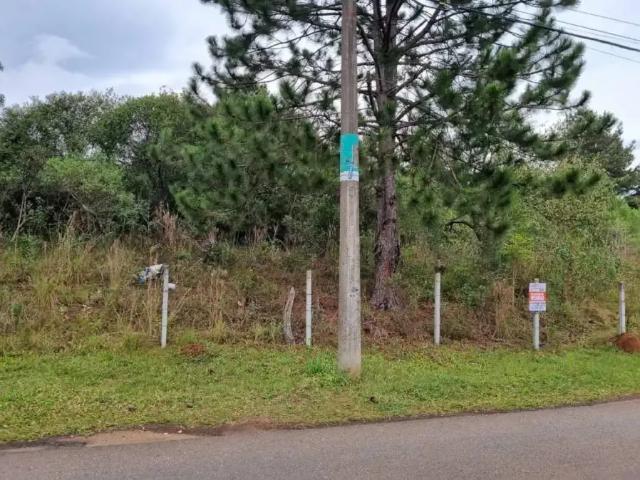 Terreno / Lote para Venda em São José dos Pinhais/PR Aristocrata