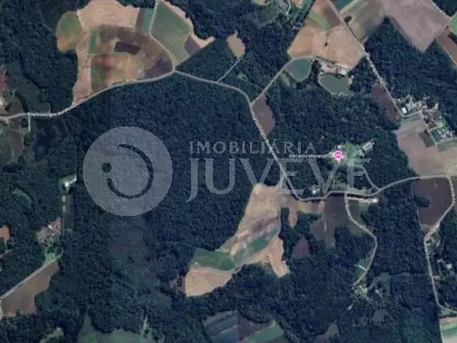 Terreno / Lote para Venda em São José dos Pinhais/PR Arujá
