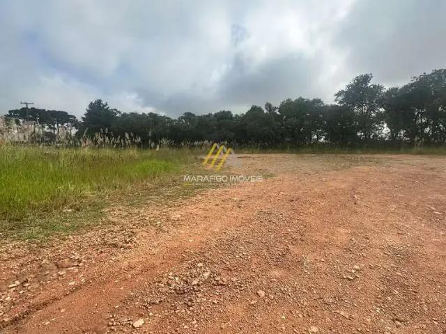 Terreno / Lote para Venda em São José dos Pinhais/PR Arujá