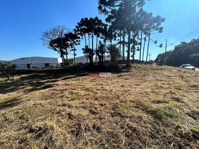 Terreno / Lote para Venda em São José dos Pinhais/PR Arujá