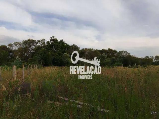 Terreno / Lote para Venda em São José dos Pinhais/PR Barro Preto