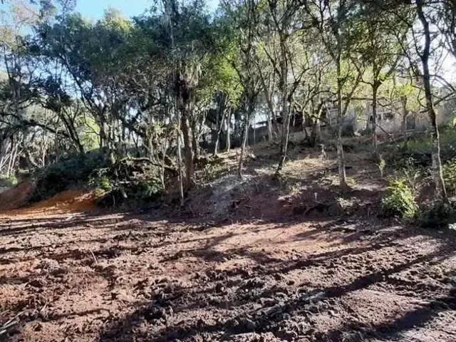 Terreno / Lote para Venda em São José dos Pinhais/PR Barro Preto