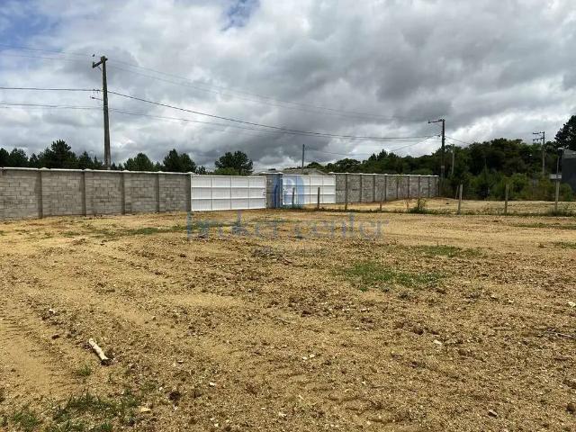 Terreno / Lote para Venda em São José dos Pinhais/PR Barro Preto